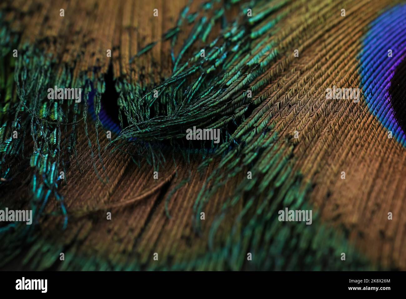 Beautiful seamless pattern monochrome hi-res stock photography and ...