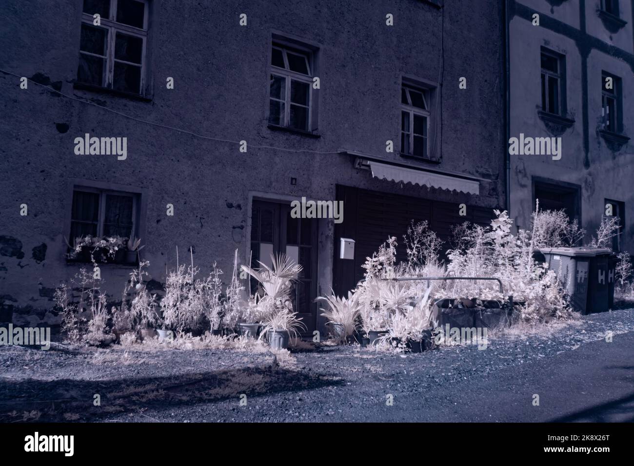 Infrared 720nm landscape with glowing white vegetation, surreal ...