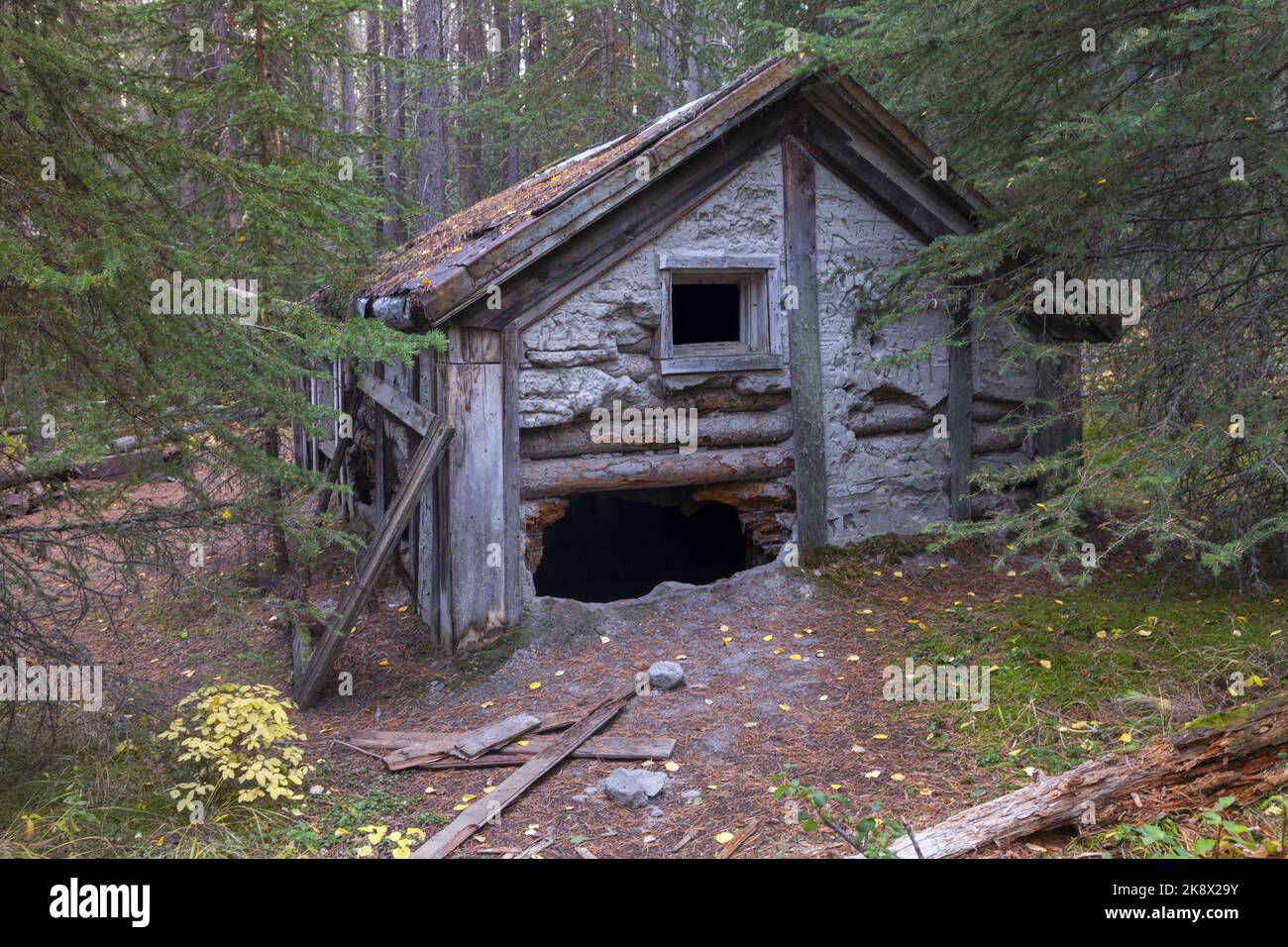 The Hermit of Inglismaldie, Secret Primitive Old Heritage Wood Log ...