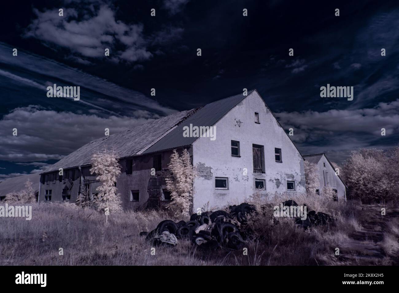Infrared 720nm landscape with glowing white vegetation, surreal ...