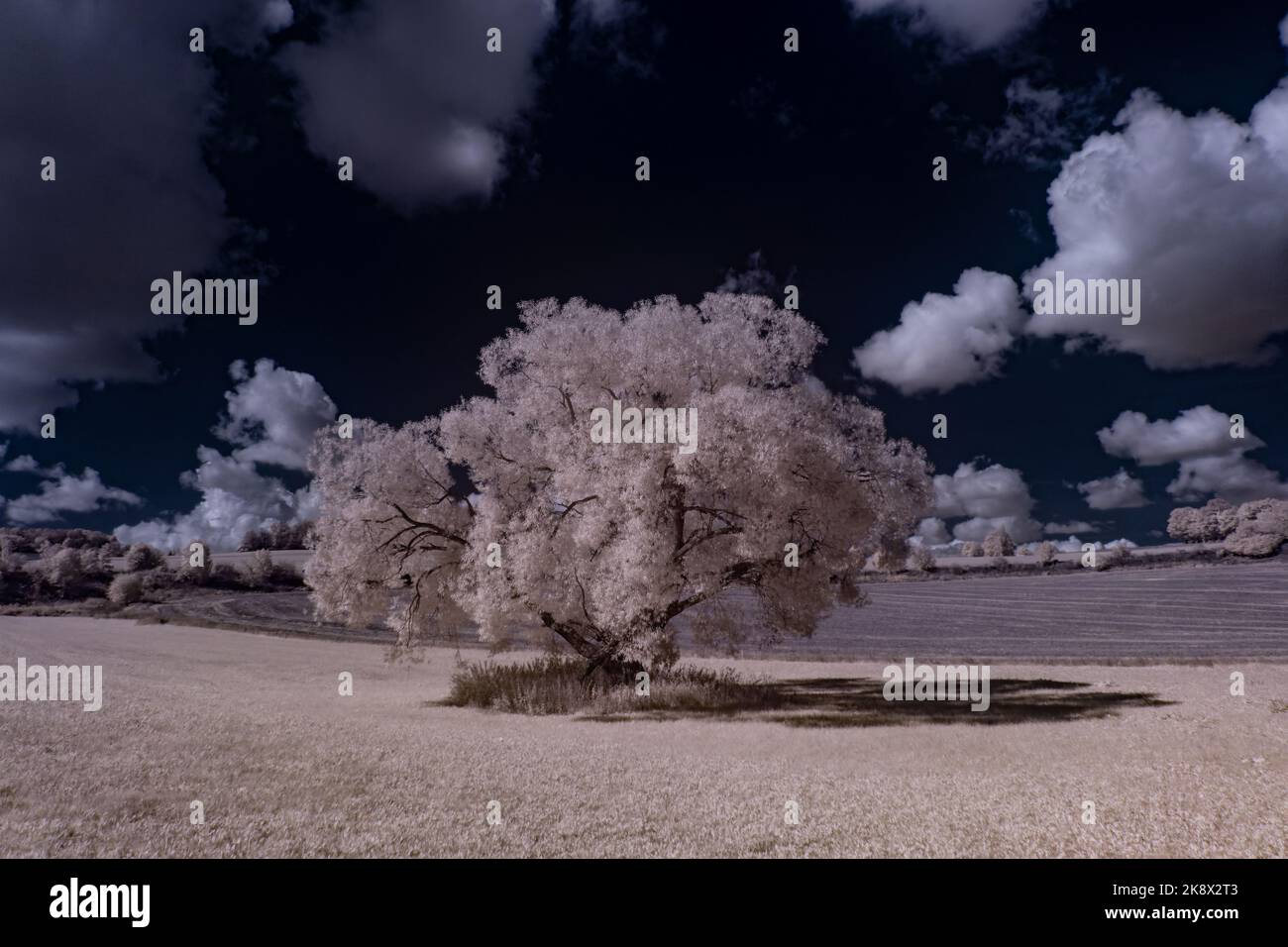 infrared photography - ir photo of landscape under sky with clouds ...