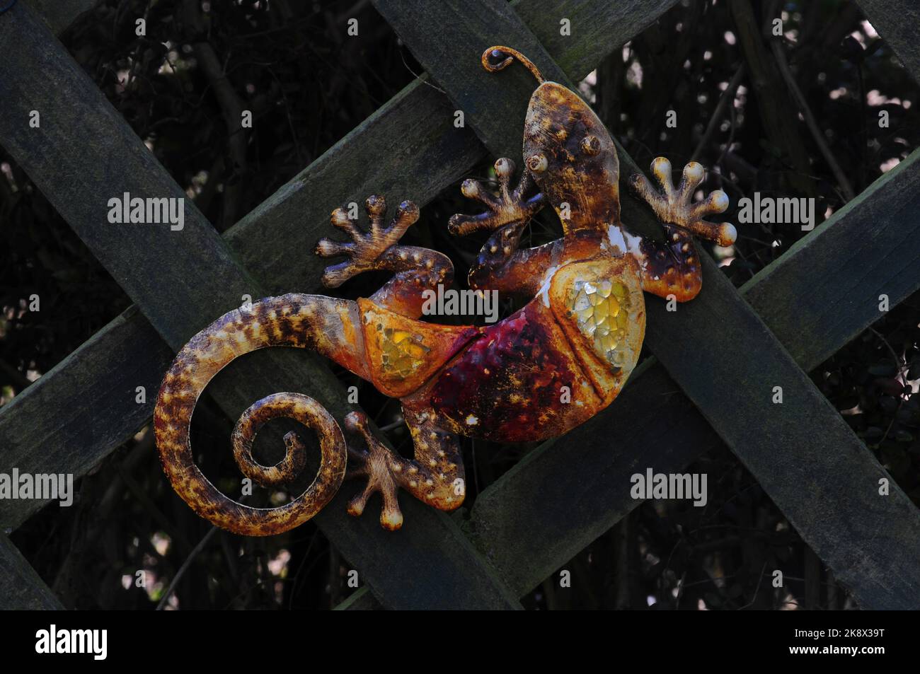 Painted metal gecko figure screwed to a fence panel Stock Photo - Alamy