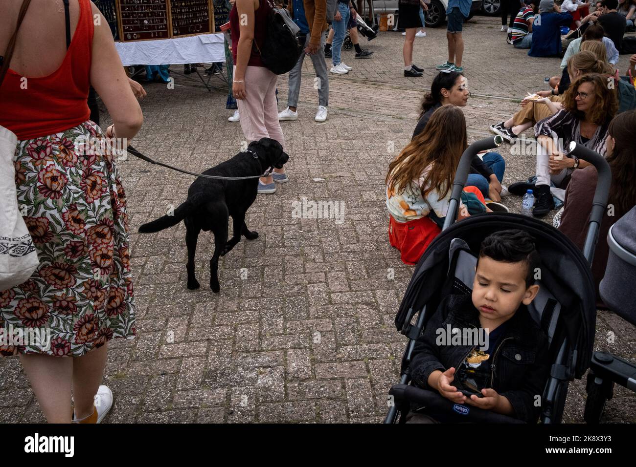 Netherlands, Amsterdam, July 2021. Illustration of daily life in ...