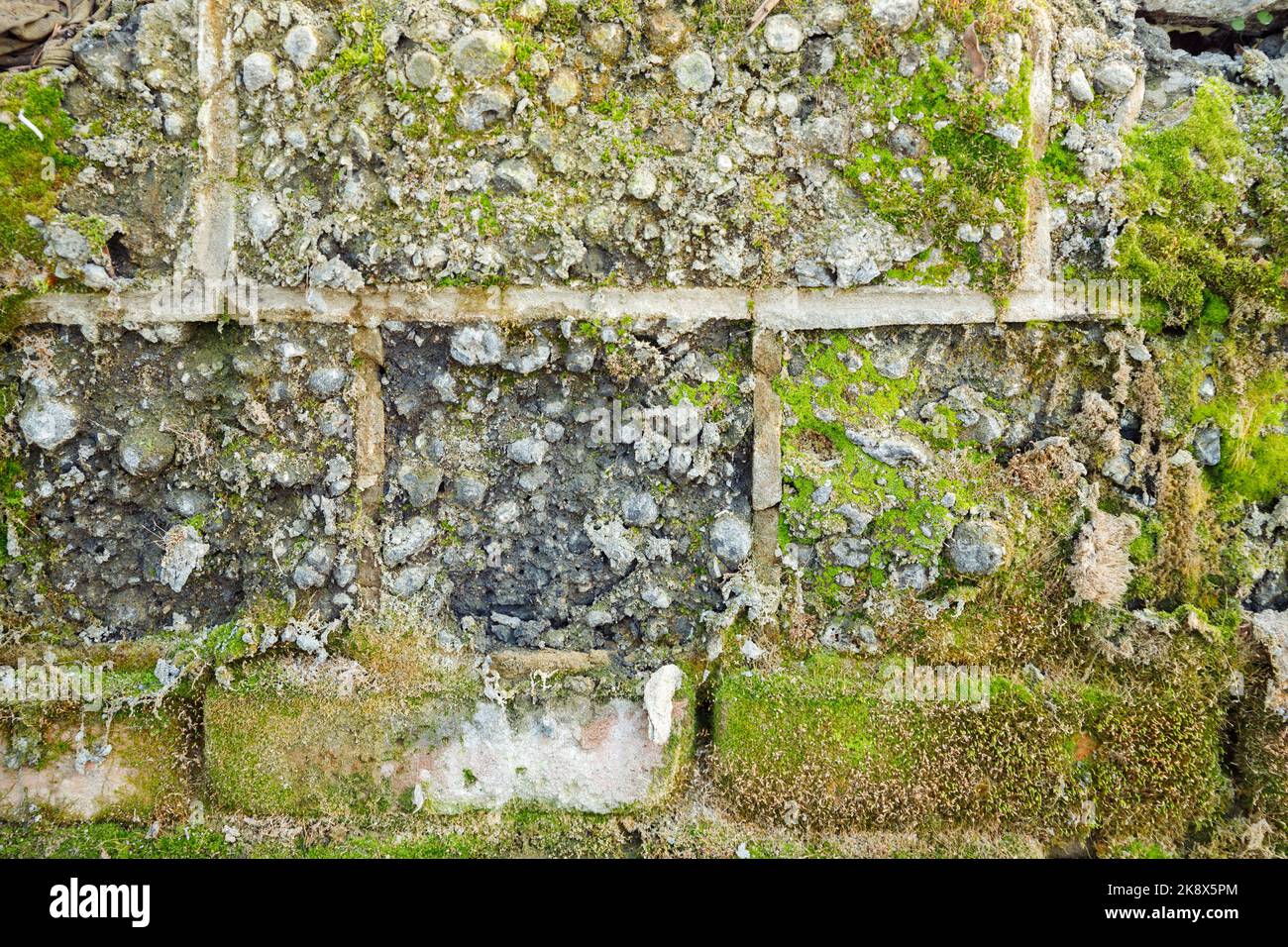 Old weathered cinder block and brick wall and moss background texture ...