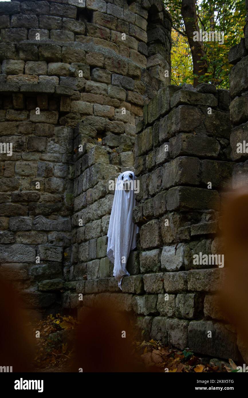 Scary dog costume hi-res stock photography and images - Alamy