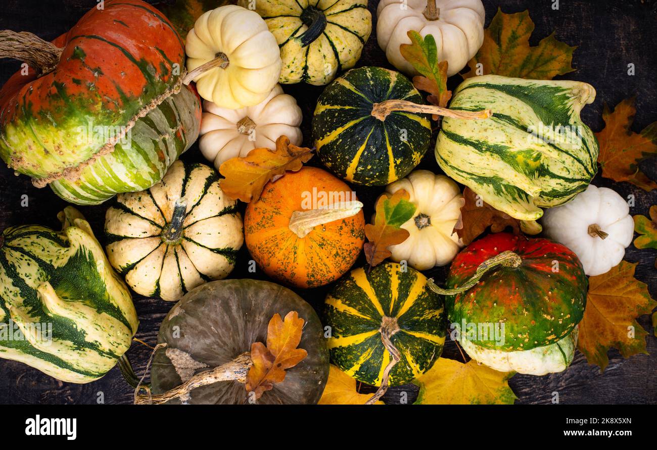 Autumn fall background with pumpkins Stock Photo - Alamy