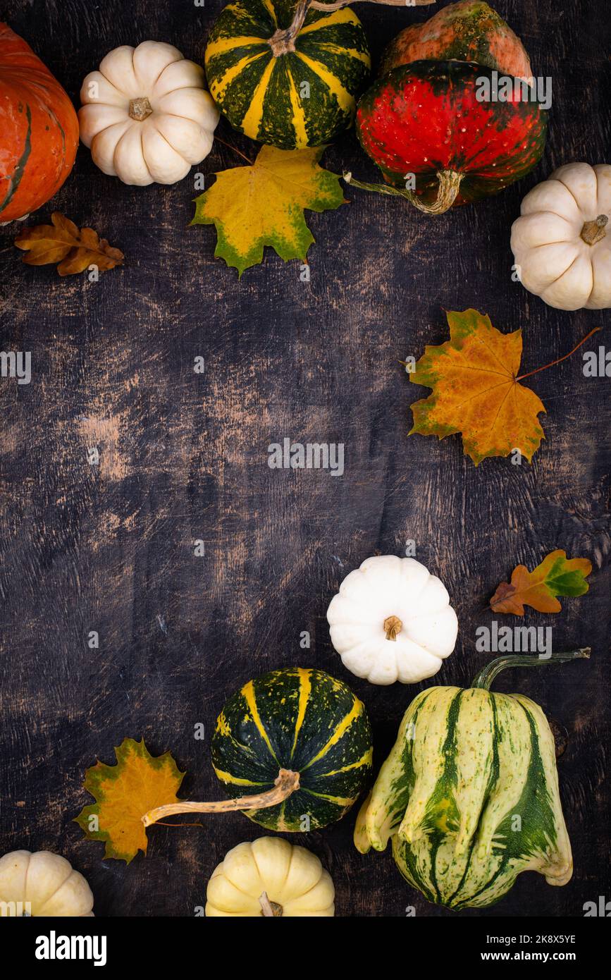 Autumn fall background with pumpkins Stock Photo - Alamy