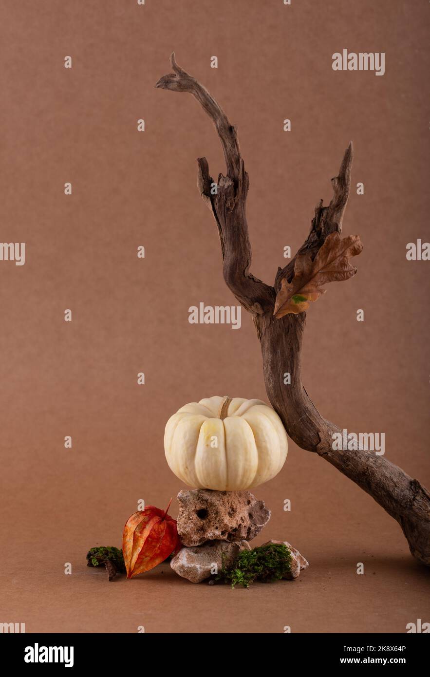 Autumn fall modern still life Stock Photo - Alamy