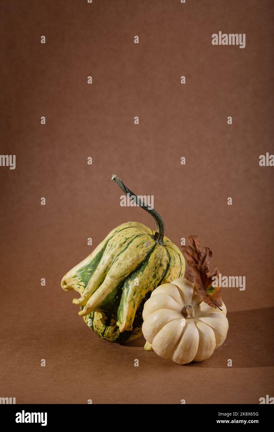Autumn fall modern still life Stock Photo - Alamy