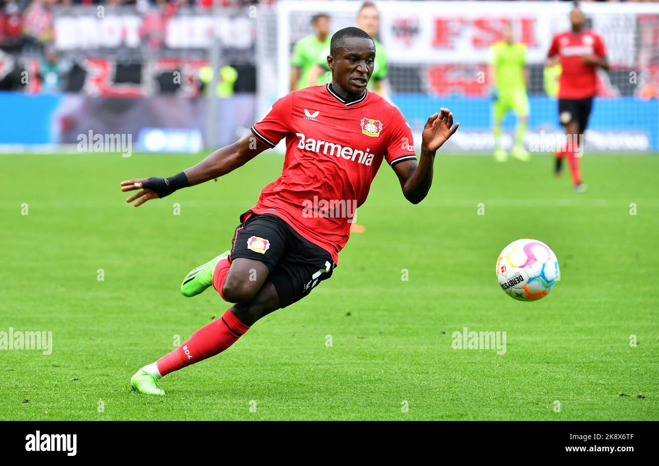 Bayer leverkusen diaby 2022 hi-res stock photography and images - Alamy