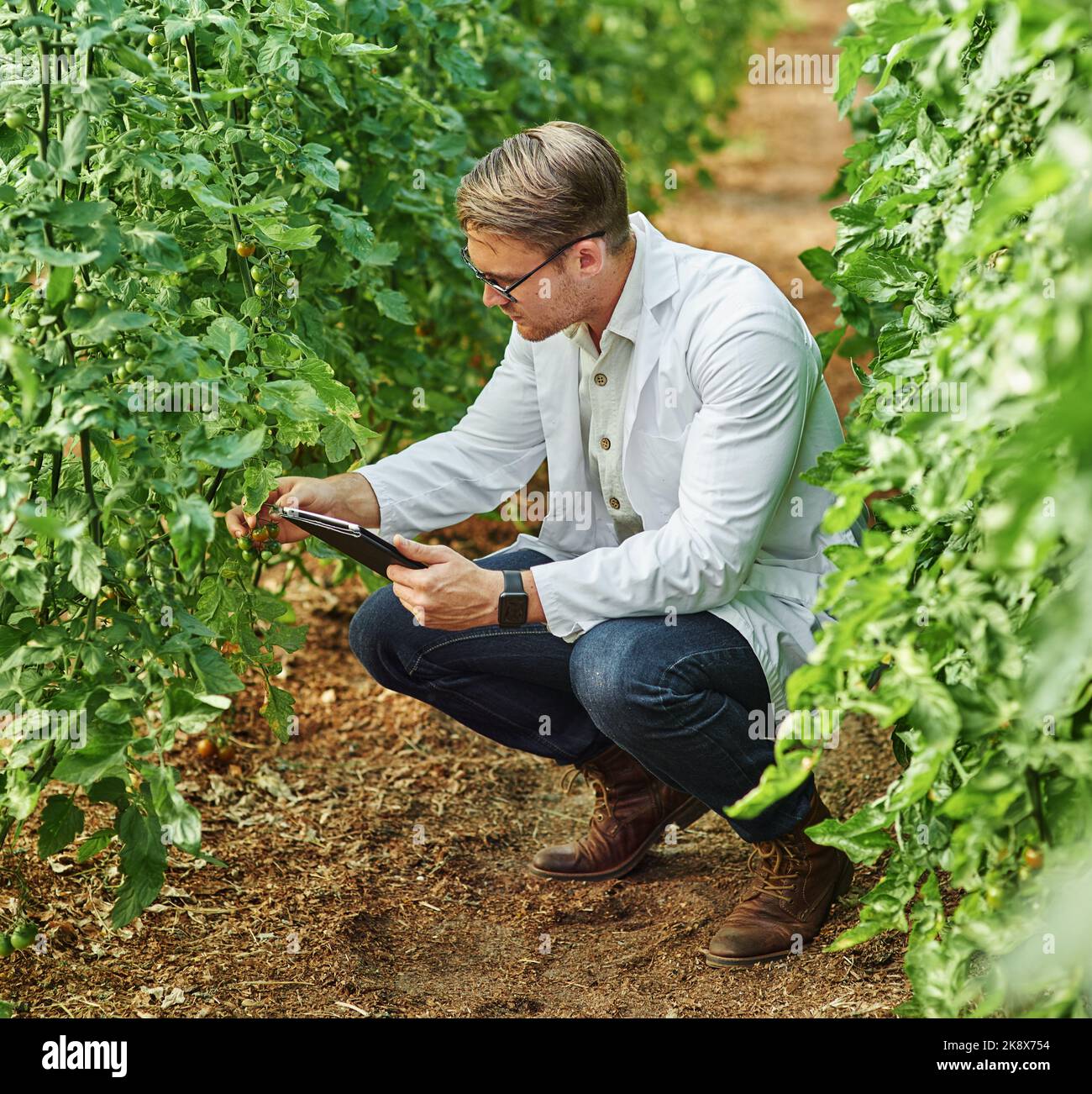 Plants are such interesting organisms to study. Full length shot of a ...