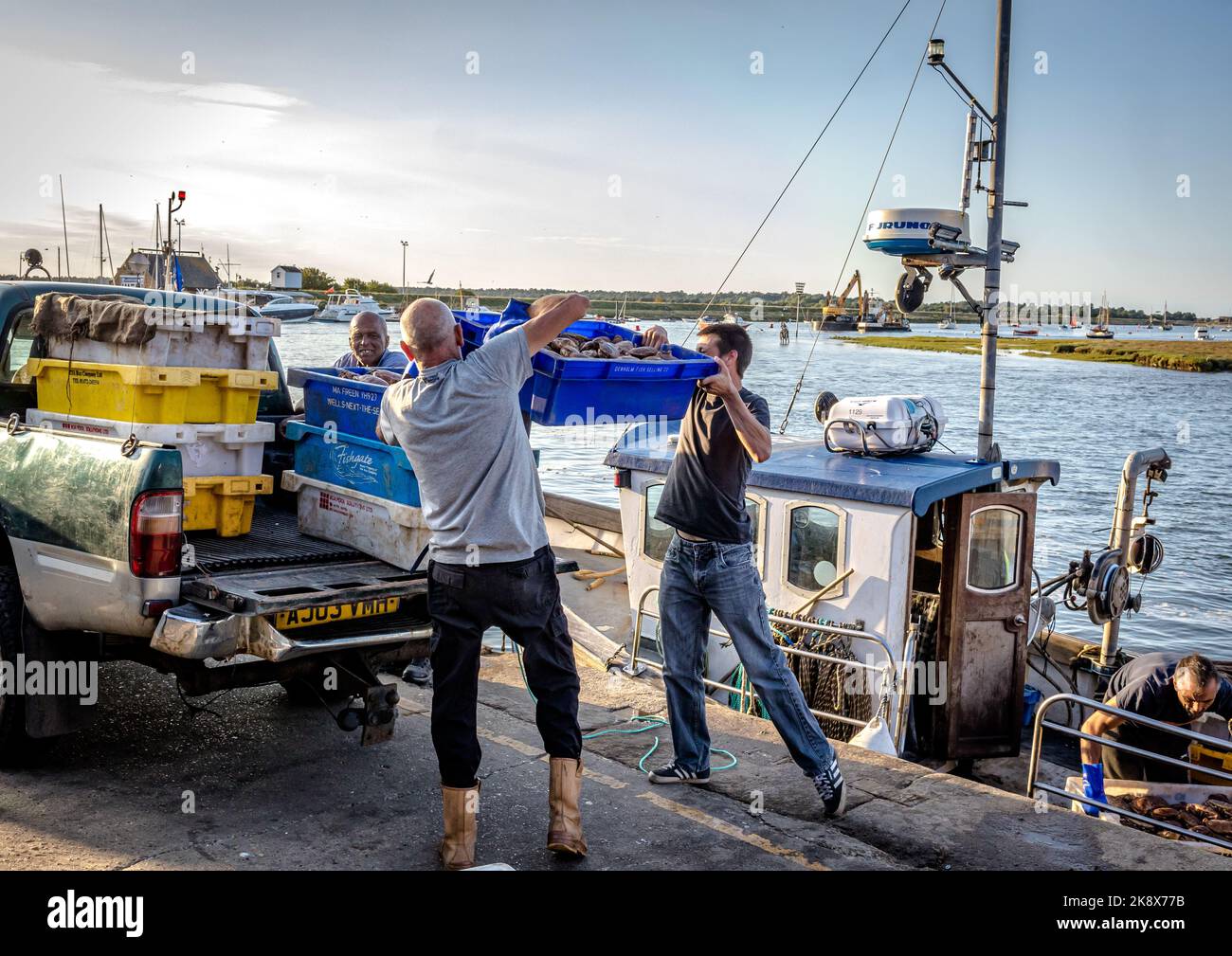 Fishing boat unloading the catch at Wells harbour Norfolk Stock Photo ...