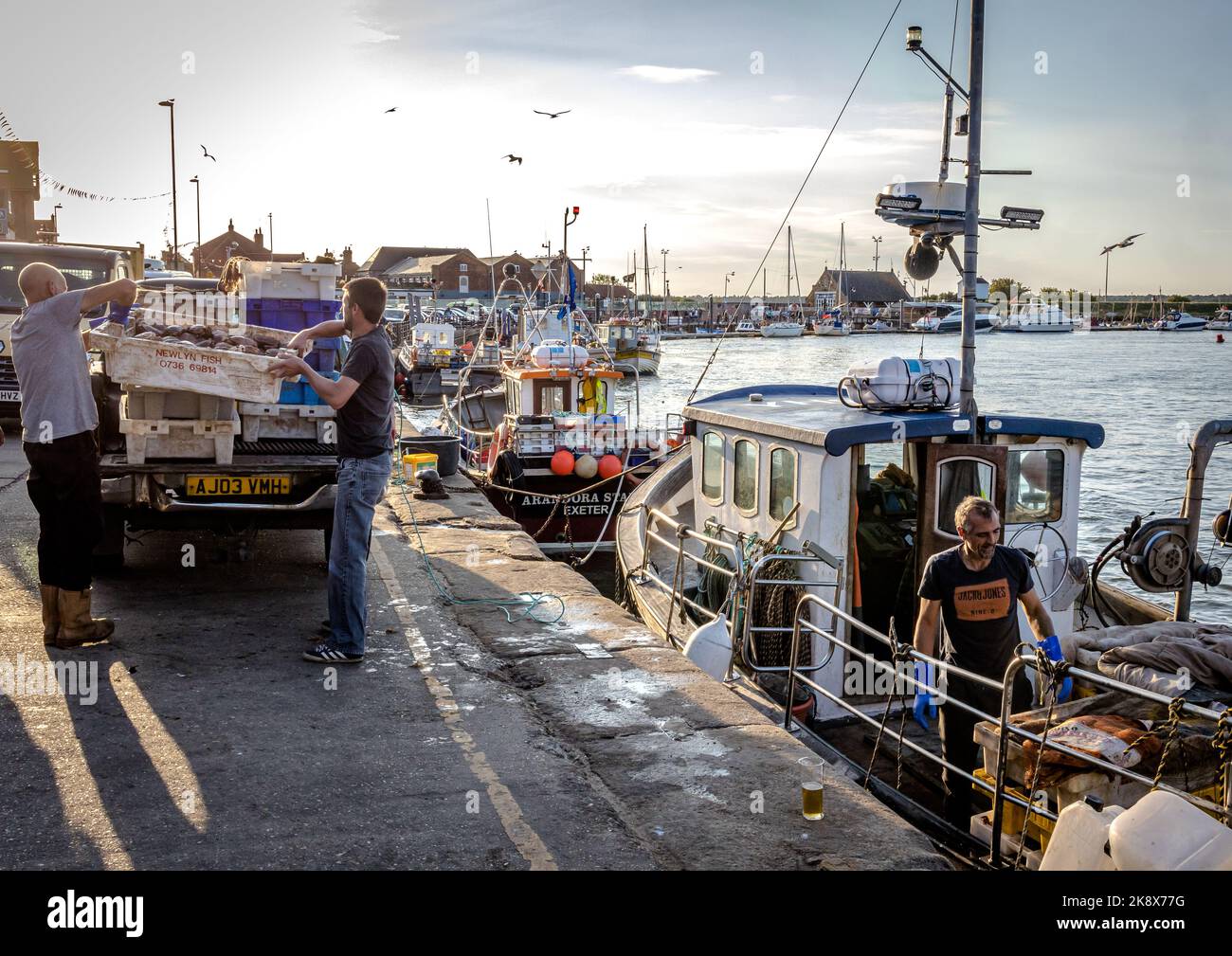 Fishing boat unloading the catch at Wells harbour Norfolk Stock Photo ...