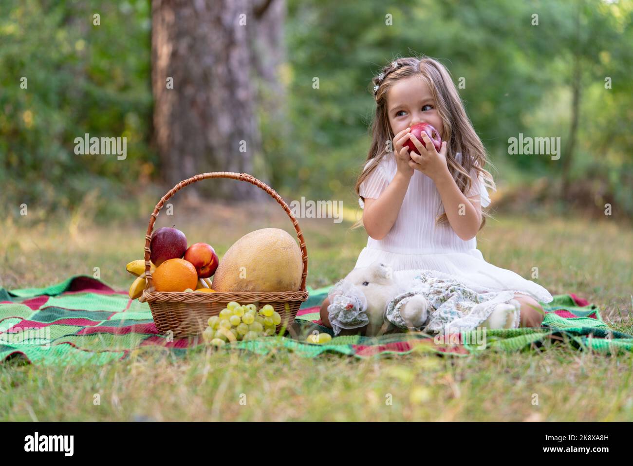 Child on forest picnic eating apple. Toddler kid in sunny park or ...