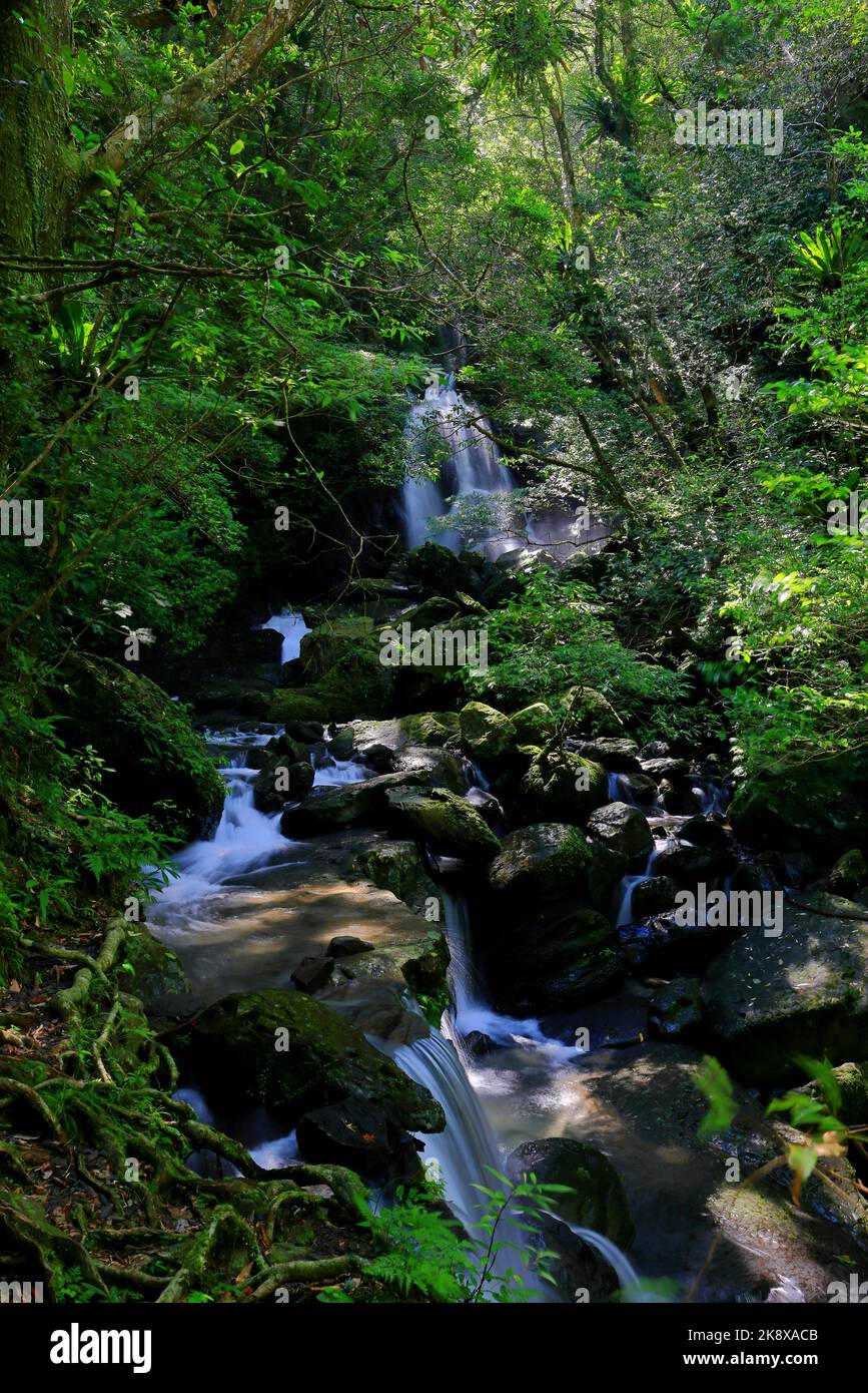 the Manyueyuan National Forest Recreation Area in New Taipei City ...