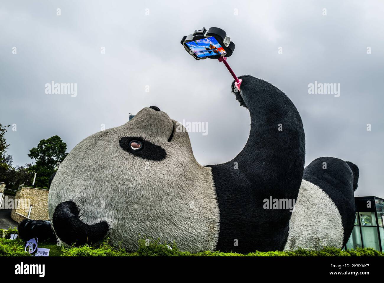 The panda sculpture of "panda takes a selfie" designed by the famous ...