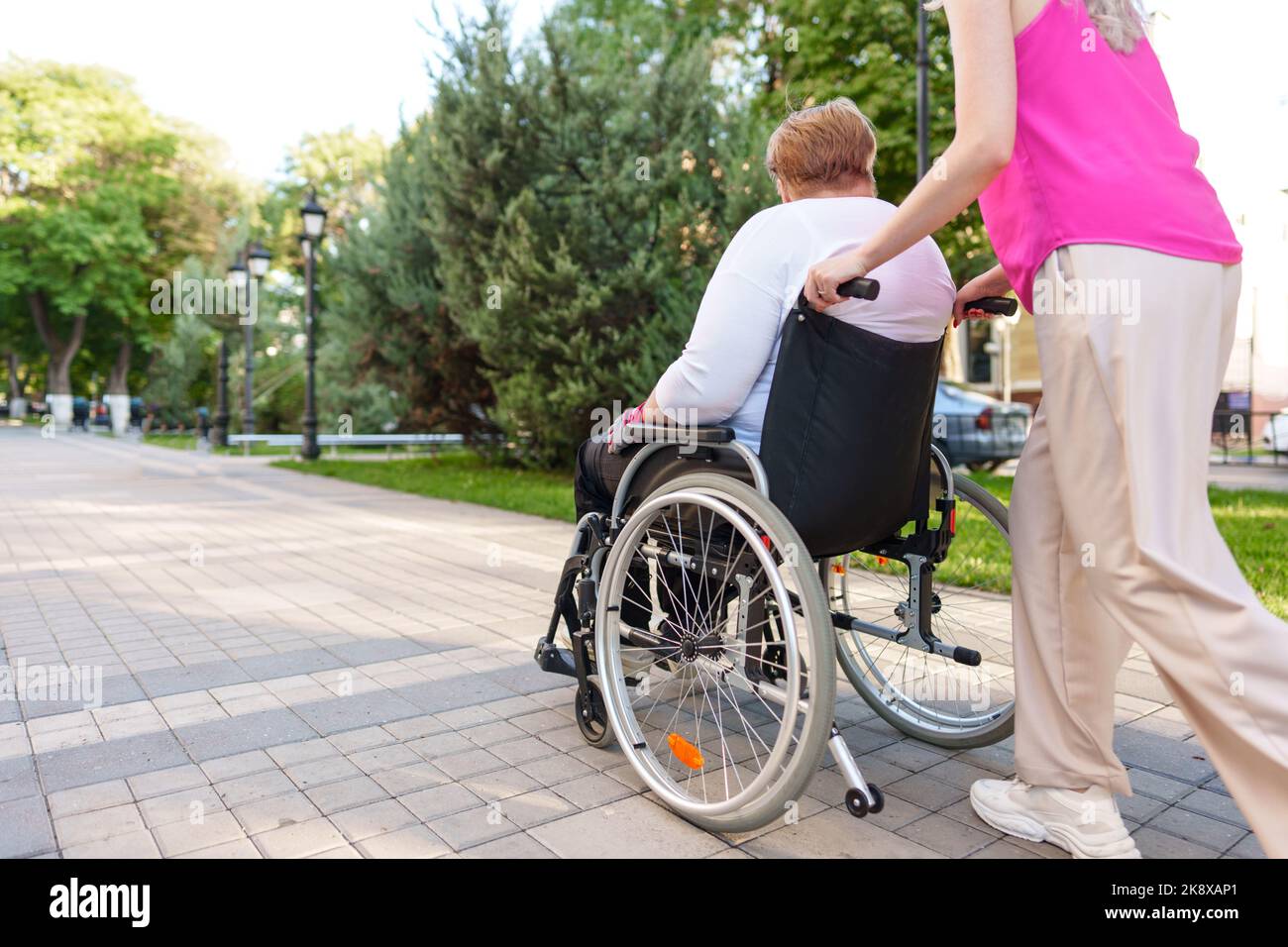 Young female caregiver pushing wheelchair with female person with ...