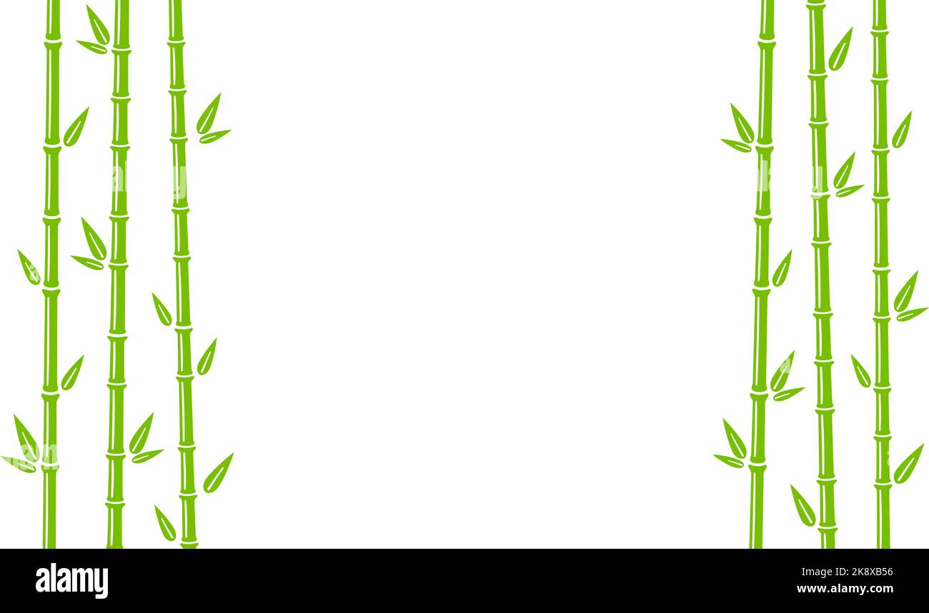 Bamboo background with stalk, branch and leaves. Green bamboo grove ...