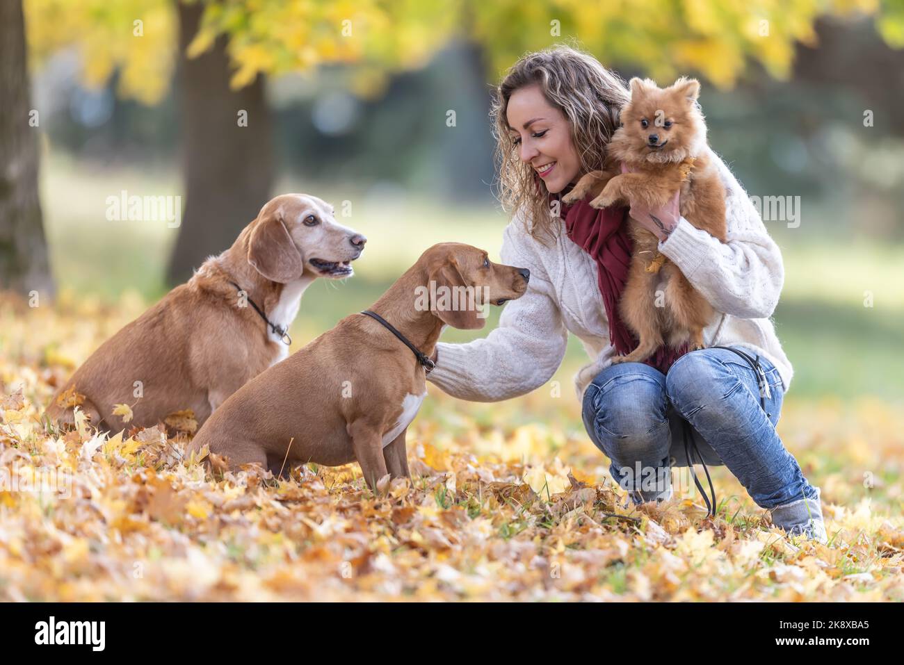 A young cheerful woman is getting to know two new dogs with her pet ...