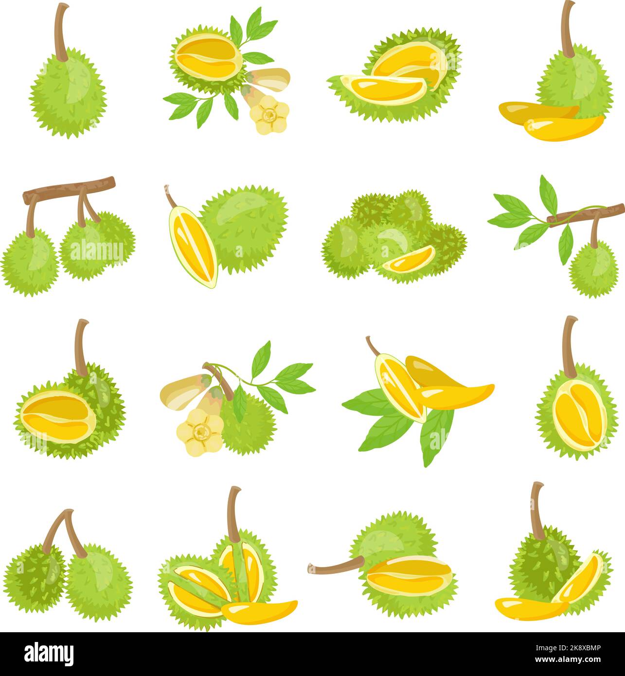 Durian icons set cartoon vector. Musang fruit Stock Vector Image & Art ... Durian icons set cartoon vector. Musang fruit Stock Vector Image & Art ...
