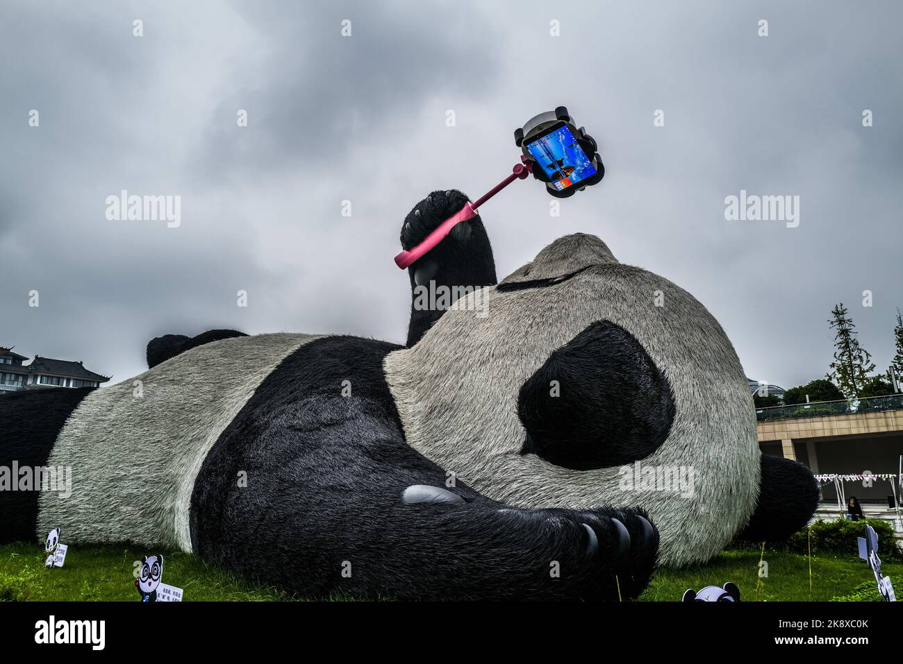The panda sculpture of "panda takes a selfie" designed by the famous ...