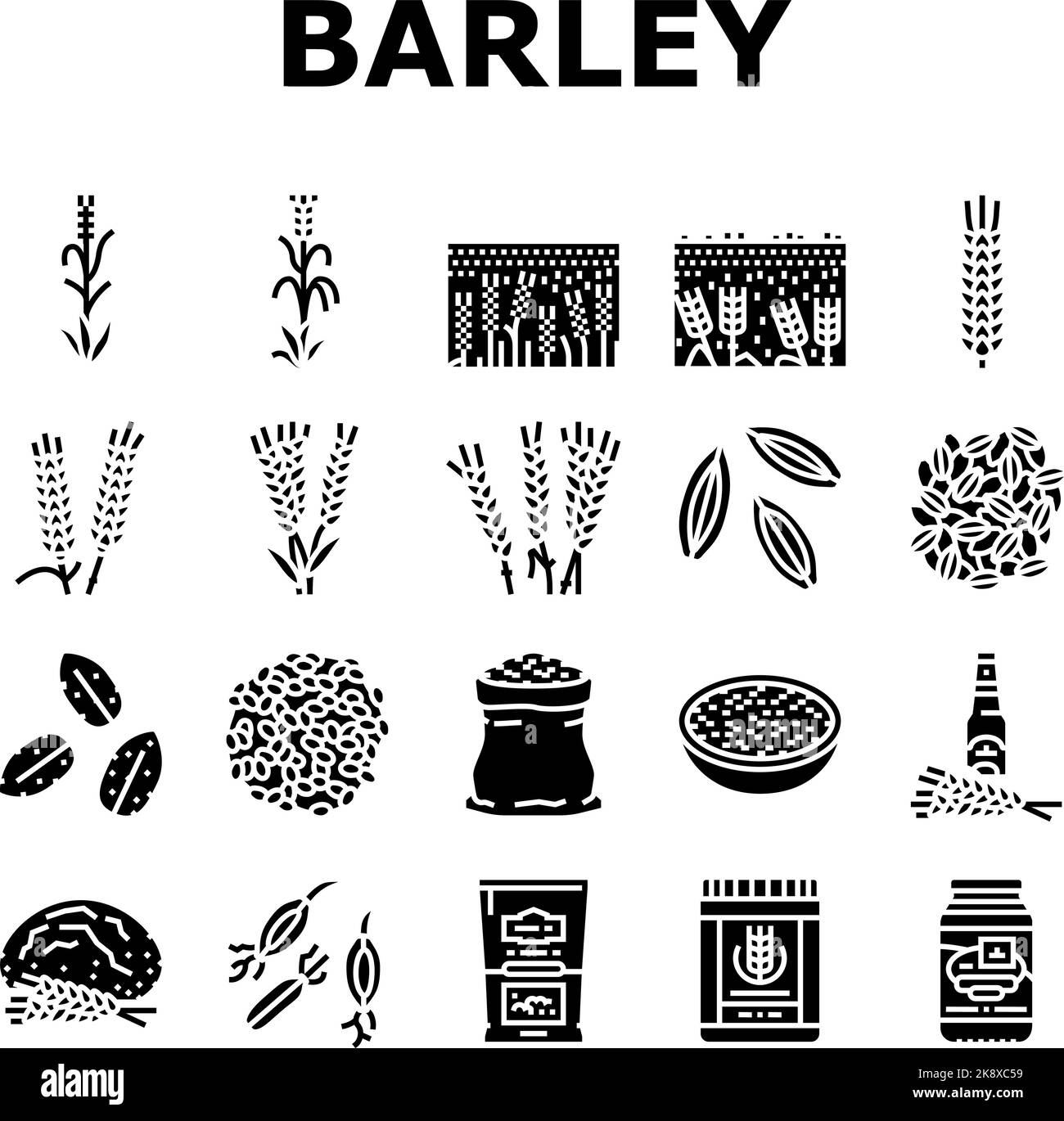 barley cereal grain harvest icons set vector Stock Vector Image & Art ...