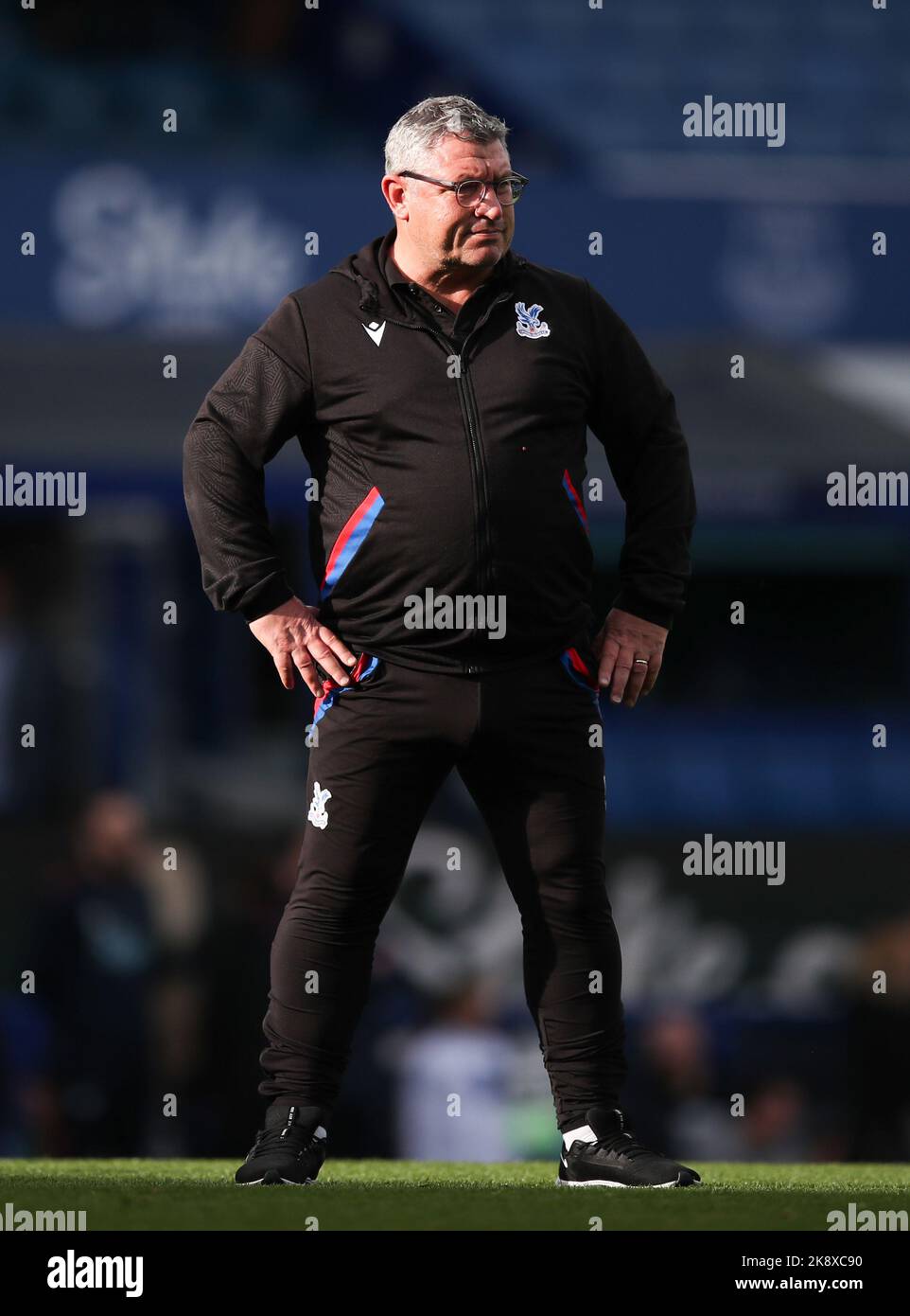 Crystal Palace assistant manager Osian Roberts ahead of the Premier ...