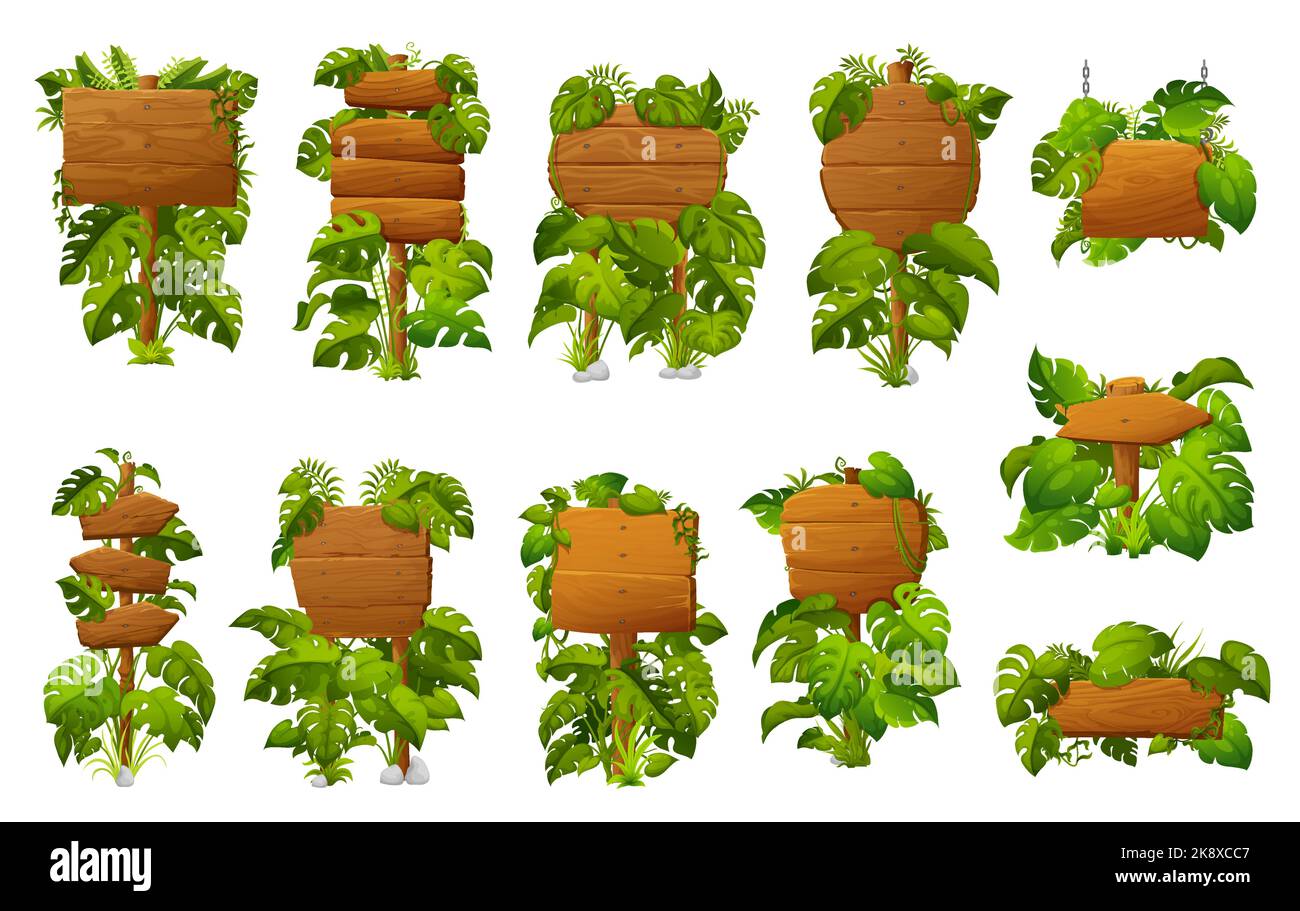 Wooden signs and boards with tropical jungle monstera leaves, vector ...