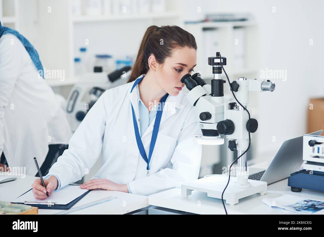 Describing on paper what she sees. a focused young female scientist ...