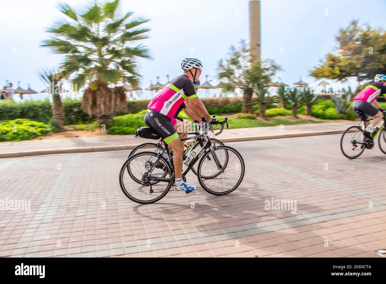 racing cyclists wearing lycra cycling along sea front by can pastilla ...
