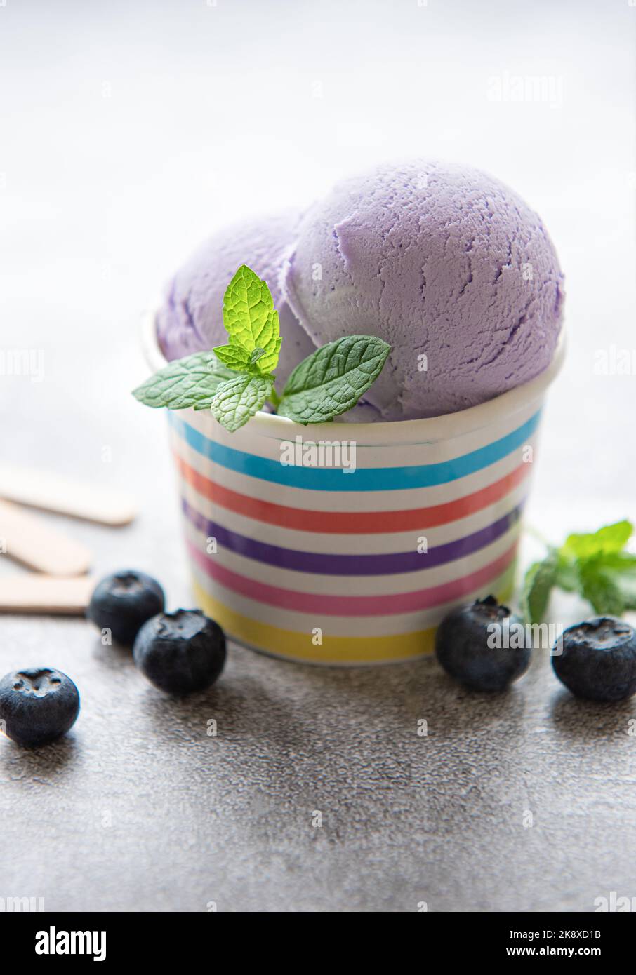 Homemade blueberry ice cream with fresh blueberries. Sweet berry summer ...