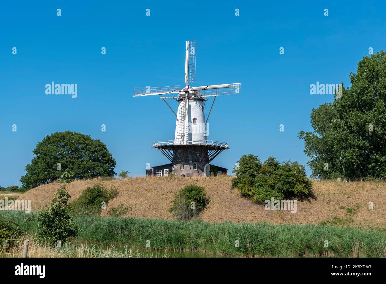 Windmill De Koe at the former bastion, Veere, Zeeland, Netherlands ...