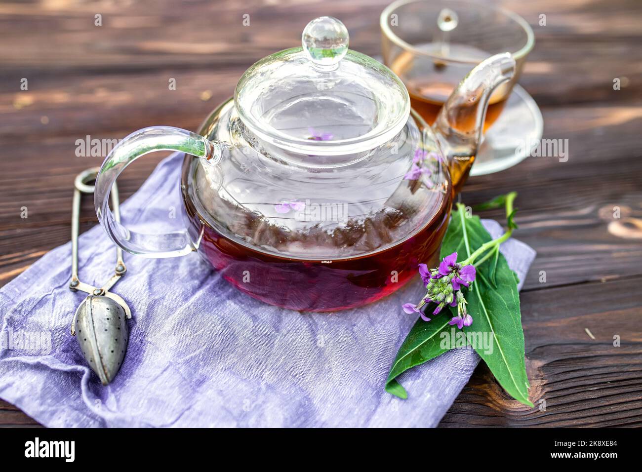 Kettle with herbal tea and fresh leaves Matthiola incana, Brompton ...