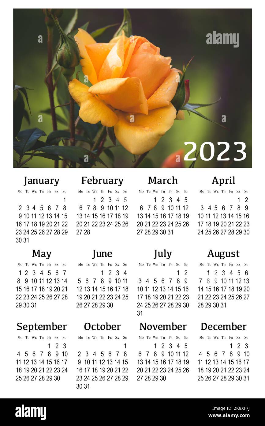 Botanical calendar for 2023. Vertical wall calendar , week starts ...