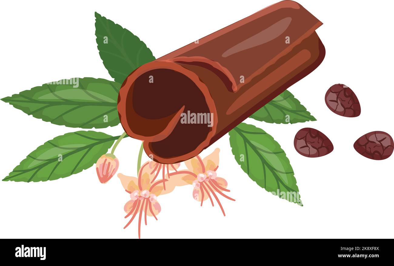 Cacao Butter Icon Cartoon Vector Cocoa Bean Stock Vector Image And Art