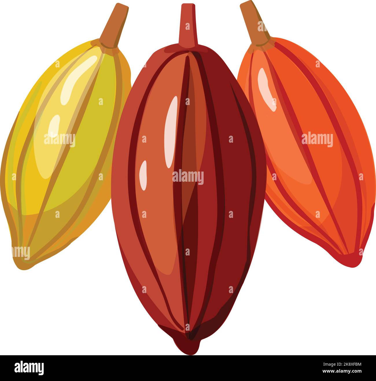 Cocoa tree pod icon cartoon vector. Farm leaf Stock Vector Image & Art ...