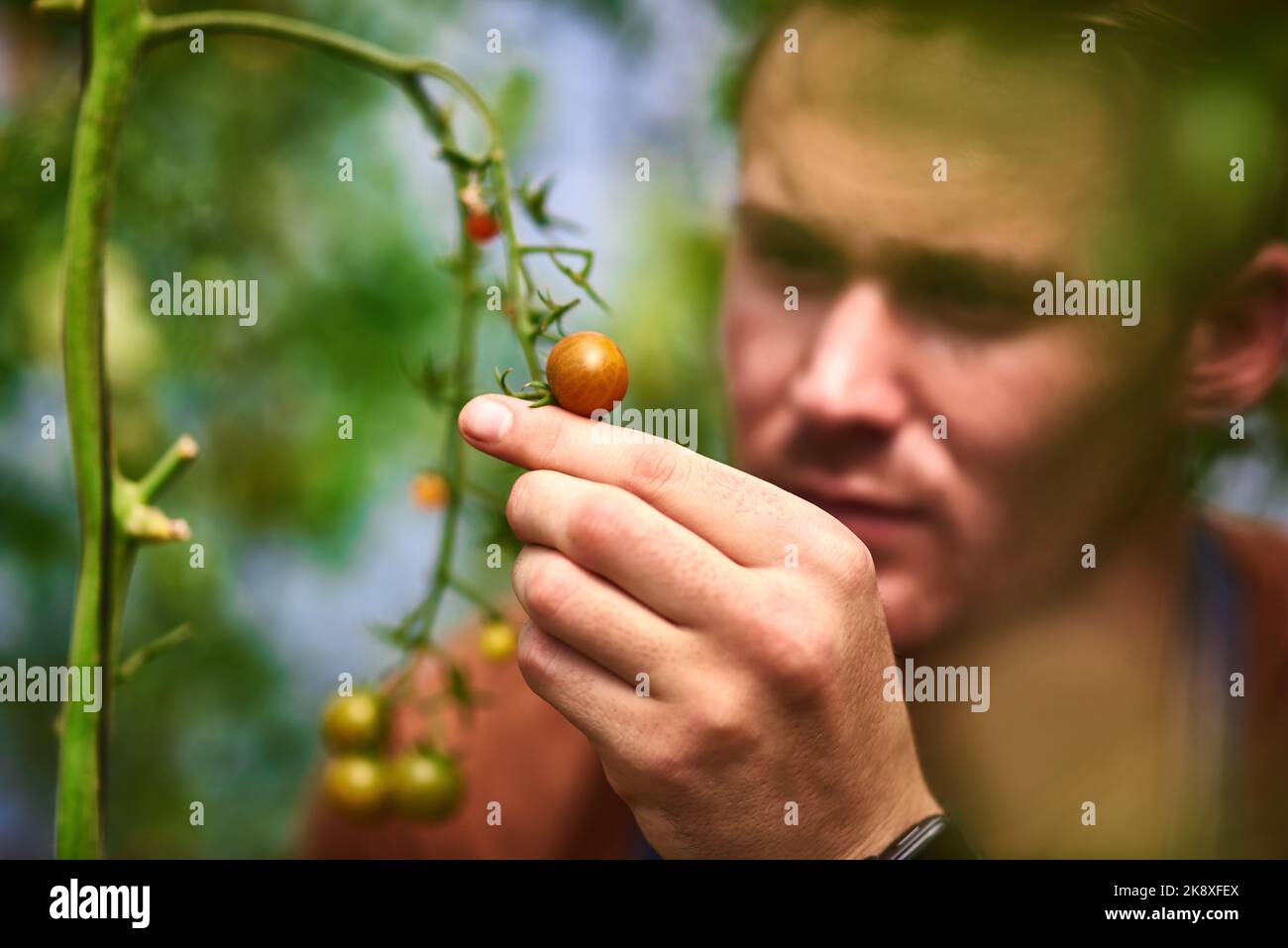 Hes got a nurturing touch. a handsome young farmer looking at his ...