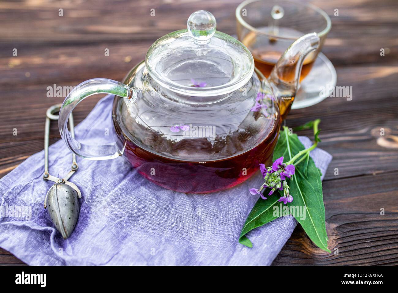 cup of herbal tea with fresh leaves and flowers Matthiola incana ...