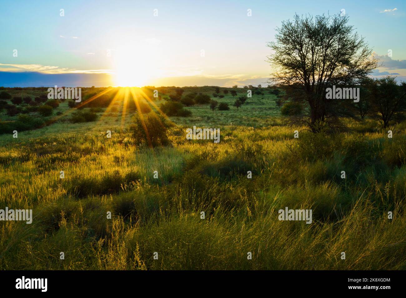 Vast landscape of the Kalahari desert in distance setting sun with sun ...