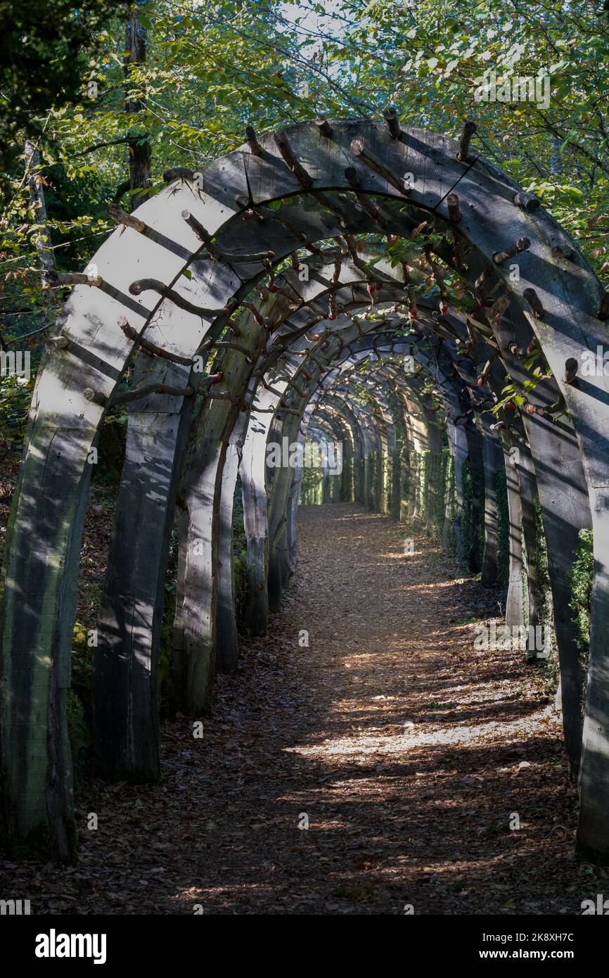 Path leading through avenue hi-res stock photography and images - Alamy