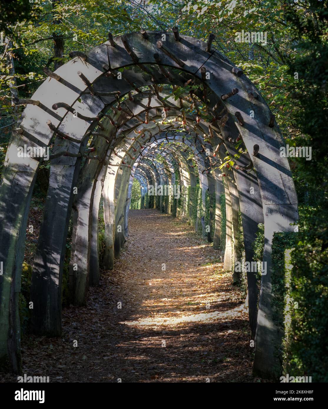 Path leading through avenue hi-res stock photography and images - Alamy
