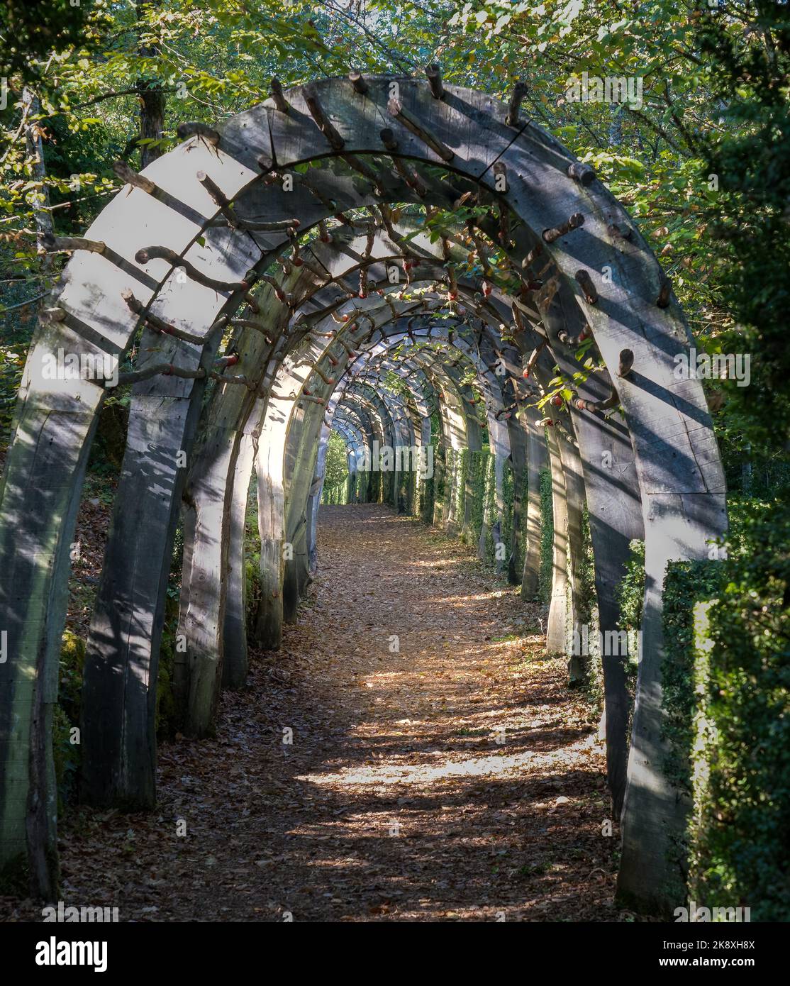 pathway leading through a covered wooden arch tunnel and foliage Stock ...