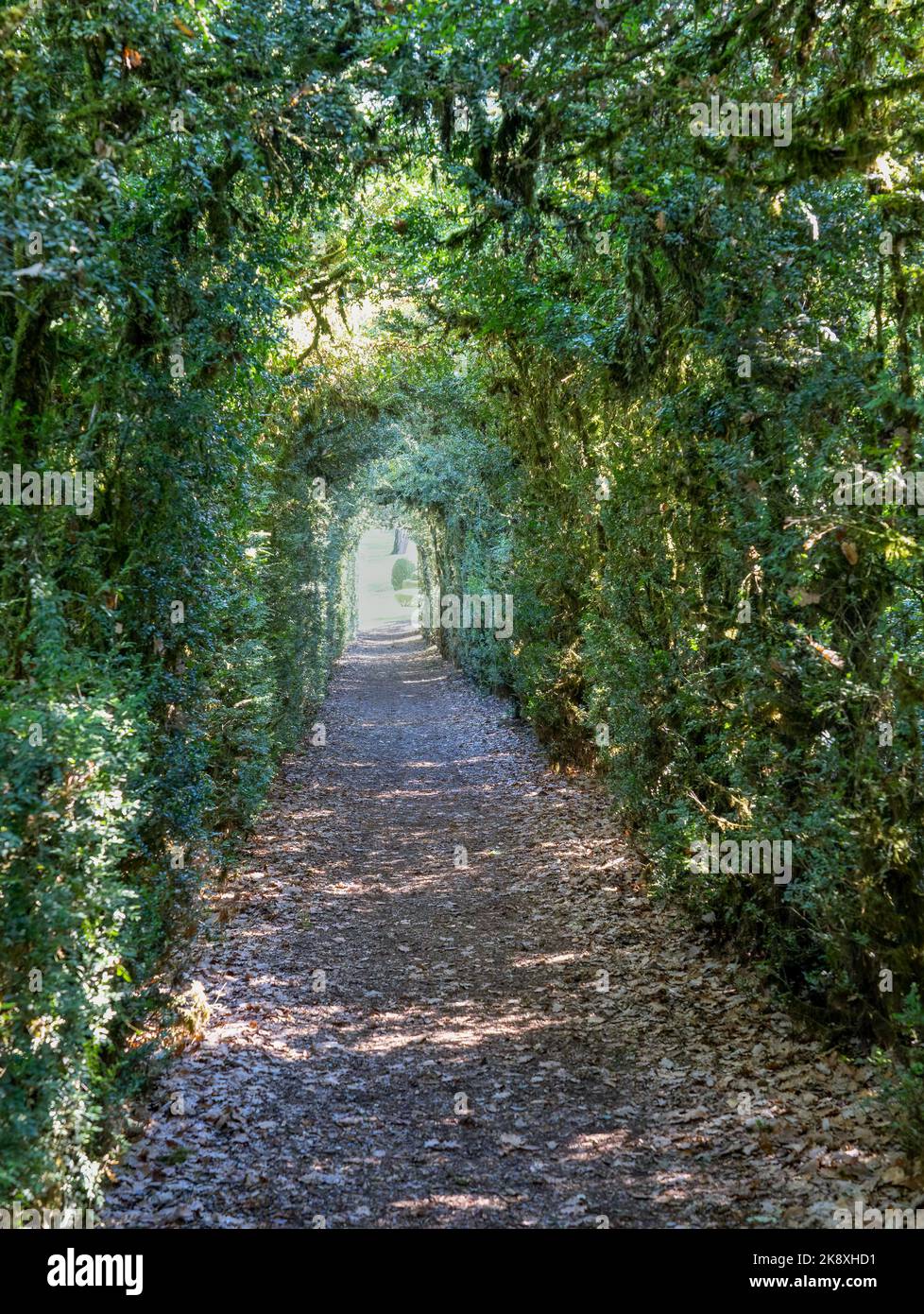 pathway leading through a covered wooden arch tunnel and foliage Stock ...