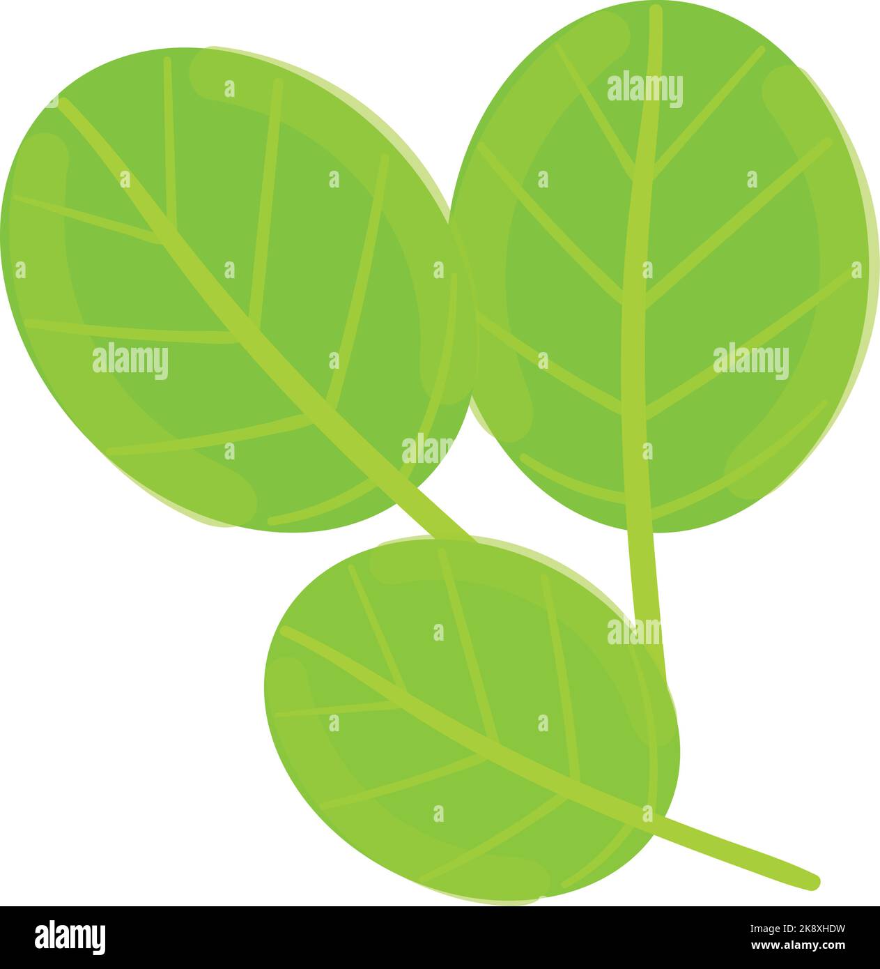 Big green chili Stock Vector Images - Alamy