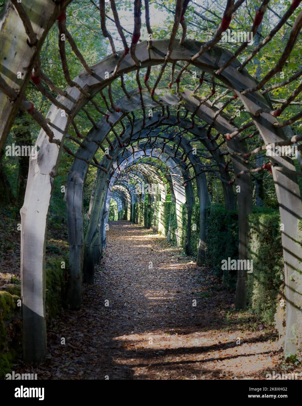 pathway leading through a covered wooden arch tunnel and foliage Stock ...