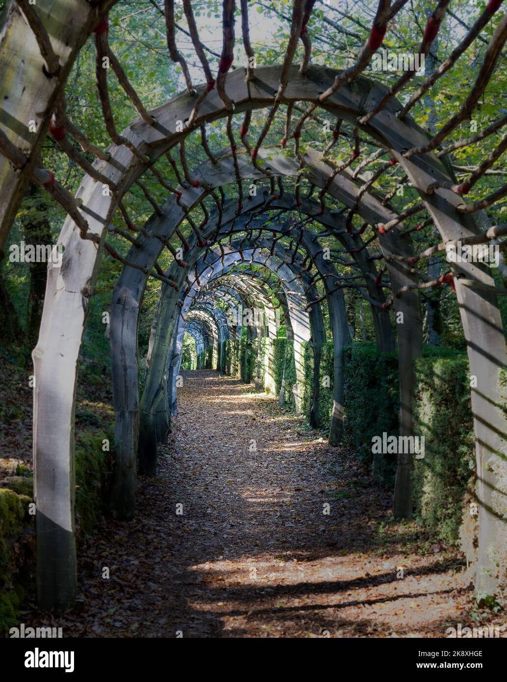 pathway leading through a covered wooden arch tunnel and foliage Stock ...