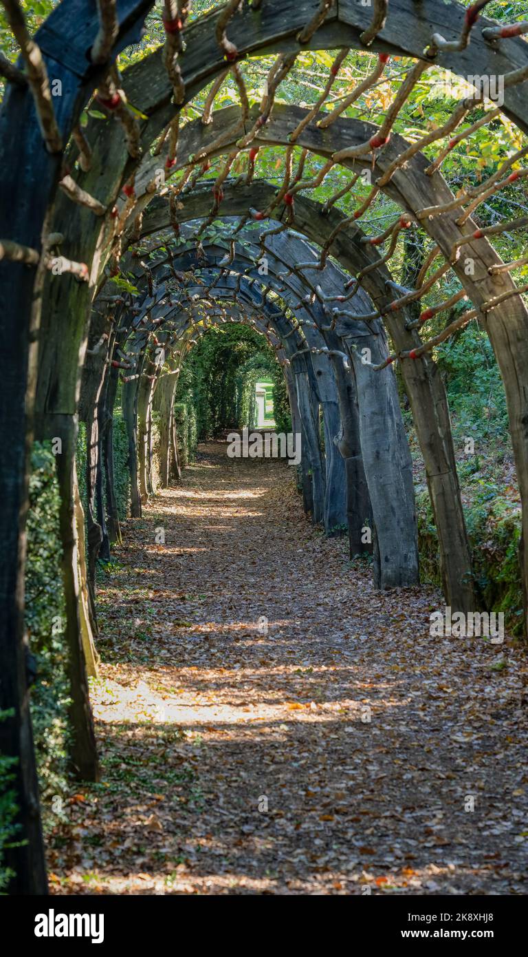 pathway leading through a covered wooden arch tunnel and foliage Stock ...