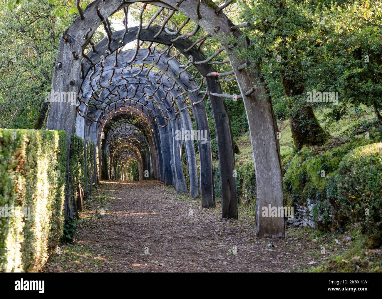 pathway leading through a covered wooden arch tunnel and foliage Stock ...