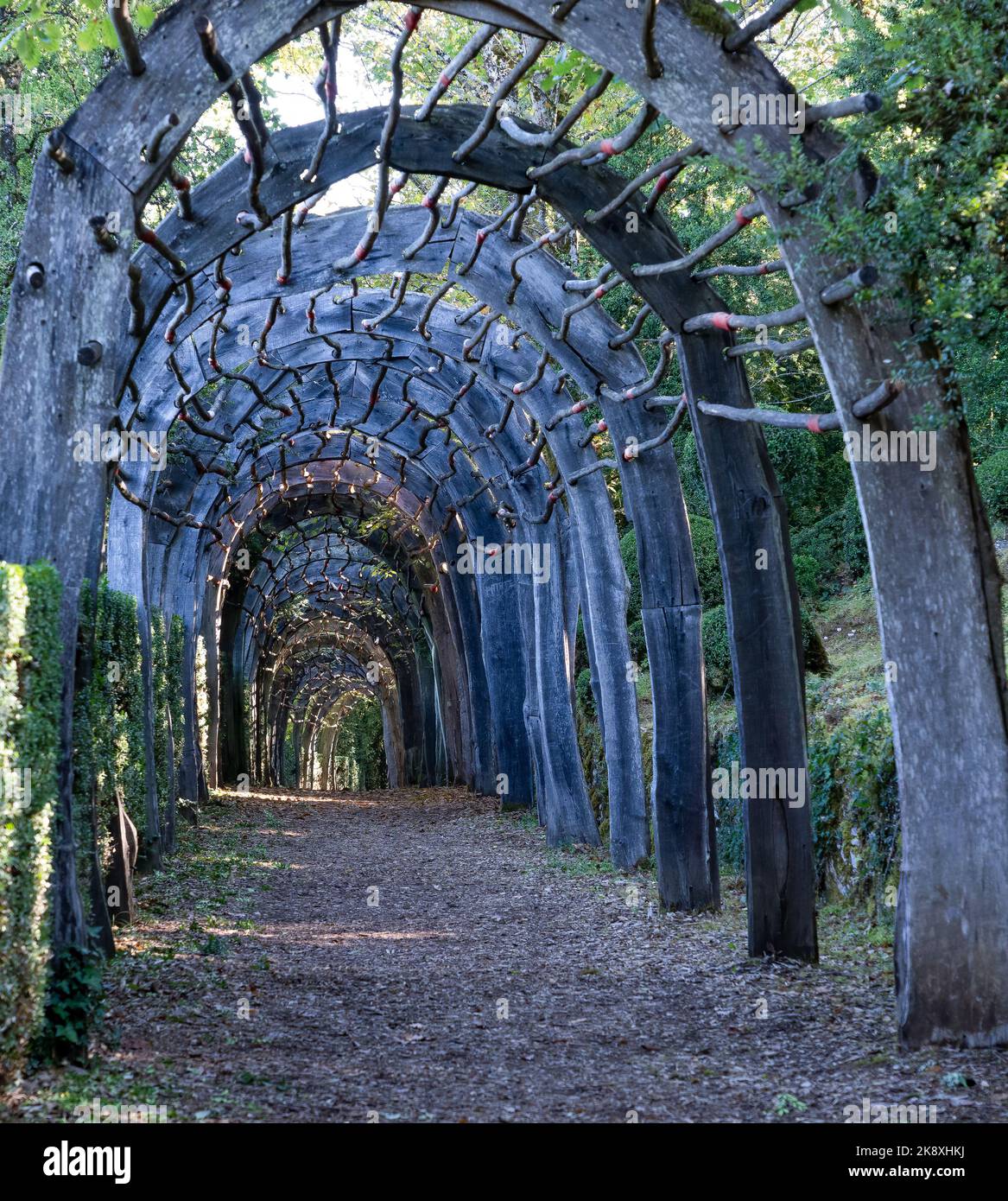 pathway leading through a covered wooden arch tunnel and foliage Stock ...
