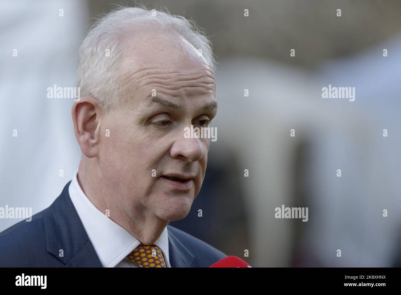 Lord Moylan / Baron Moylan (Daniel Moylan, Conservative peer) in ...